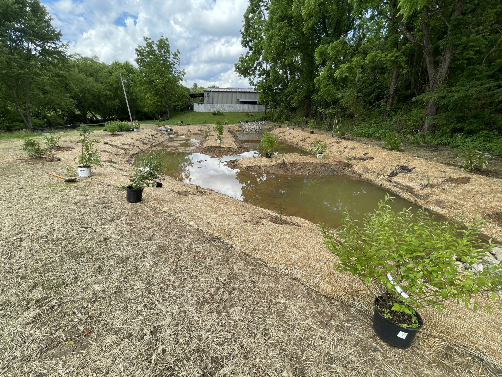Shelton Branch Stormwater Control – Haywood Waterways